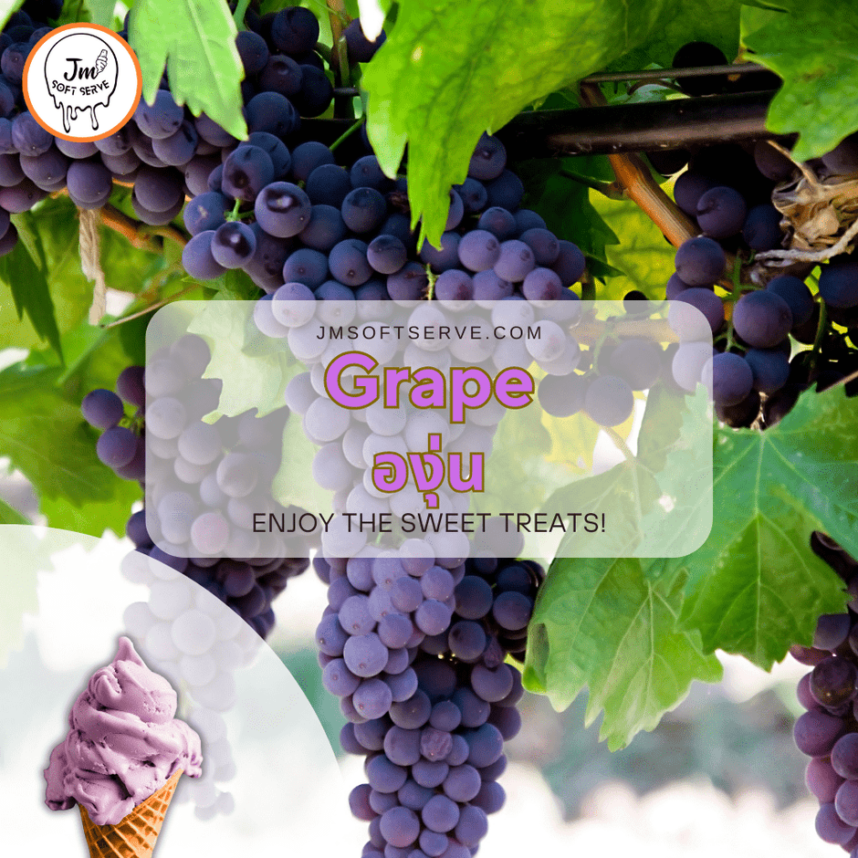 JM Softserve รสชาติไอศกรีม มีมากกว่า20รสชาติ – jmsoftserve